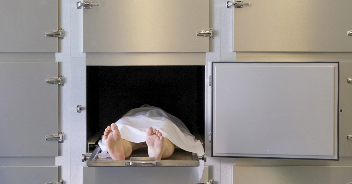 Harvard Medical School morgue manager charged for conspiracy, theft and sale of human body parts ...